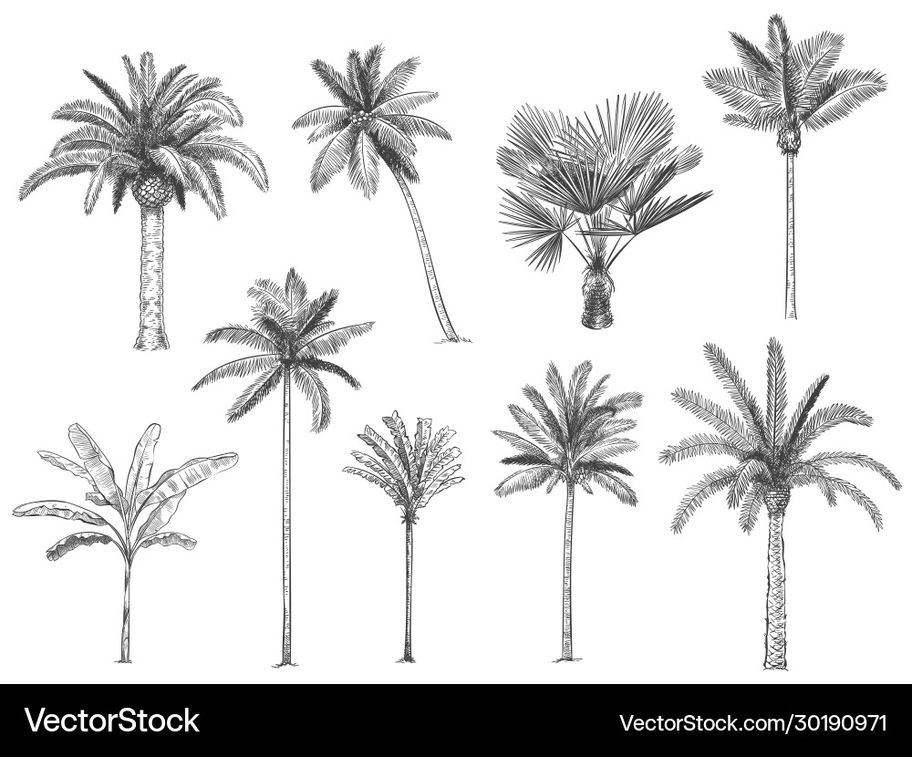 Hand Palm Vector Images (over 110,000)