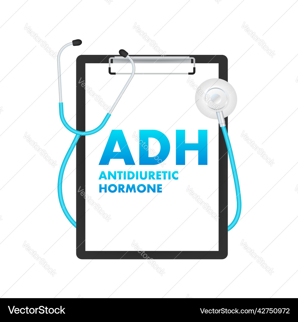 Adh - antidiuretic hormone acronym concept Vector Image