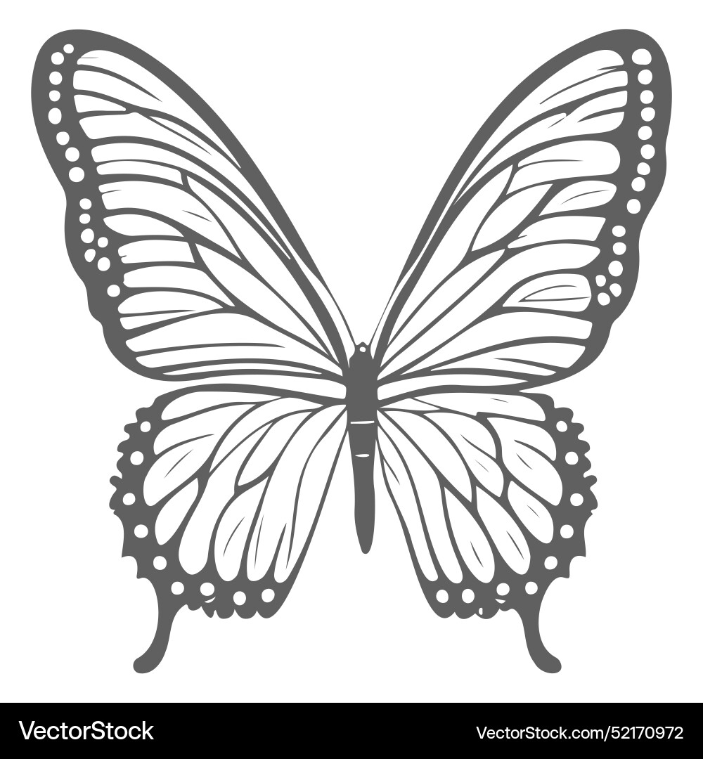 Animal butterfly sketch grey Royalty Free Vector Image