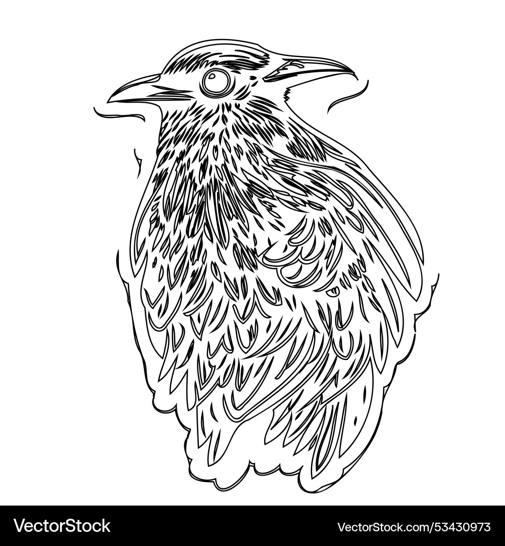 Raven or crow outline sketch Royalty Free Vector Image