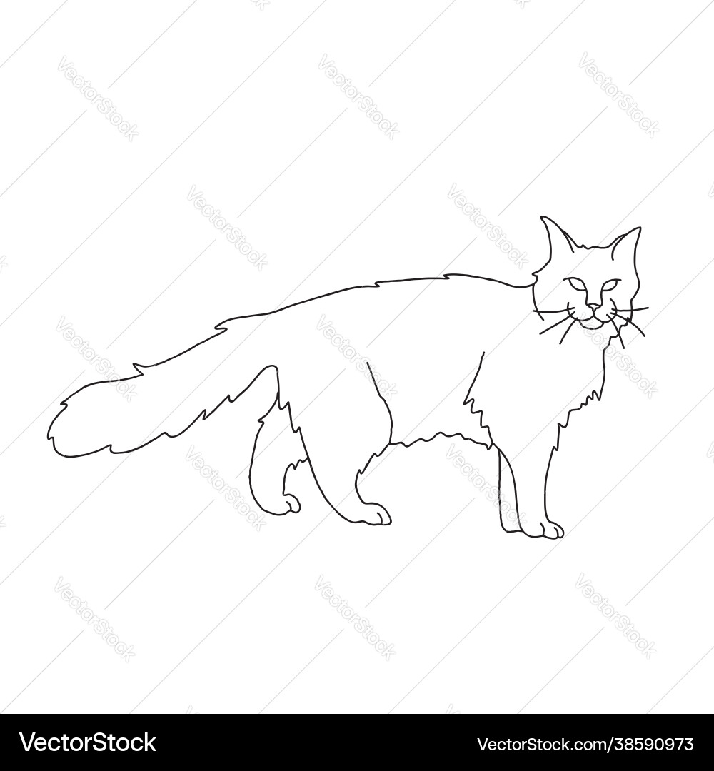 Walking cat line art Royalty Free Vector Image