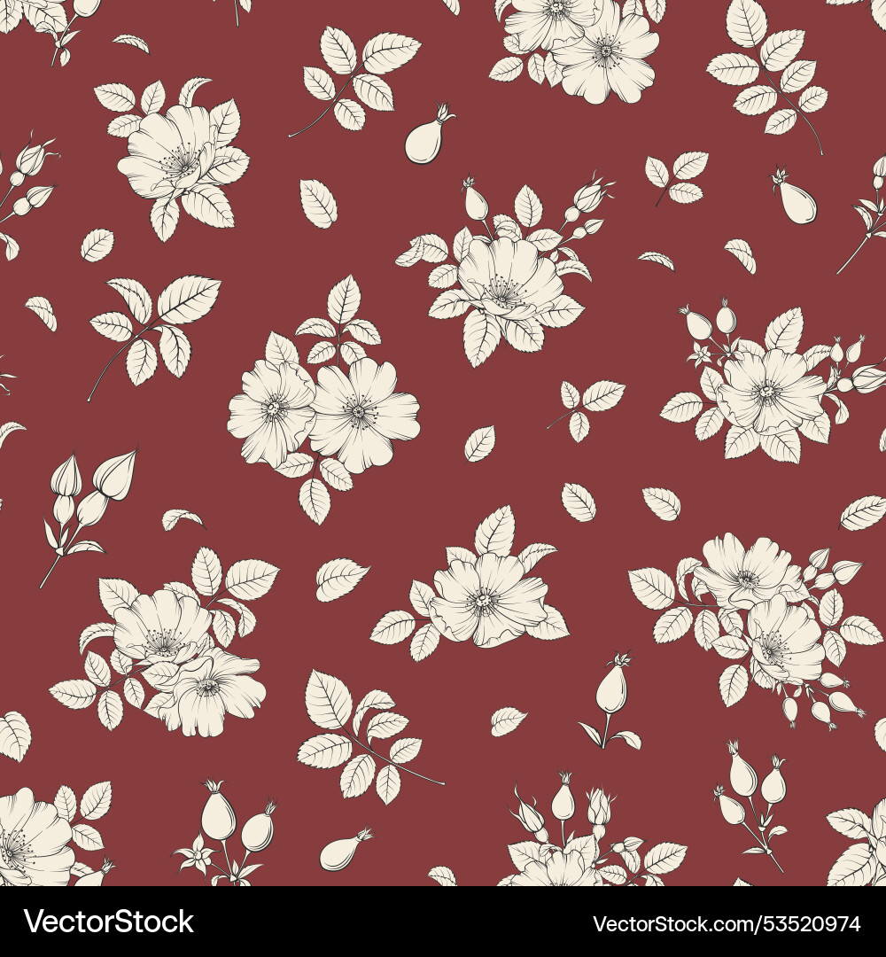 Bicolor rose floral pattern modern botanical Vector Image