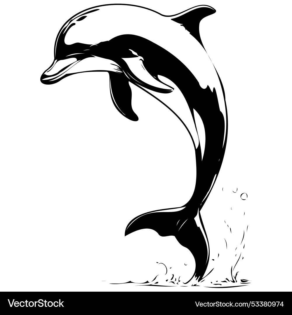 Bottlenose dolphin engraving drawing of wild Vector Image