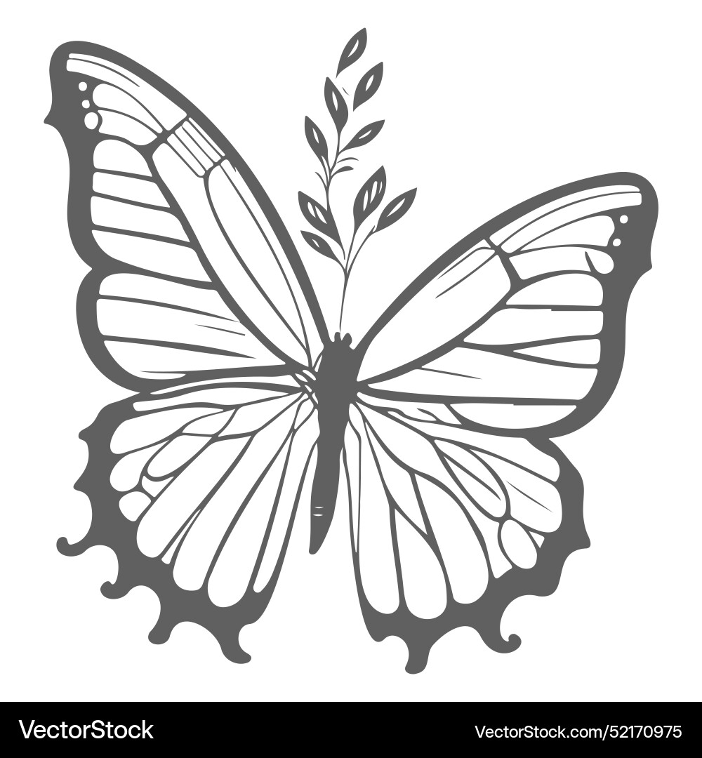 Animal butterfly sketch grey Royalty Free Vector Image