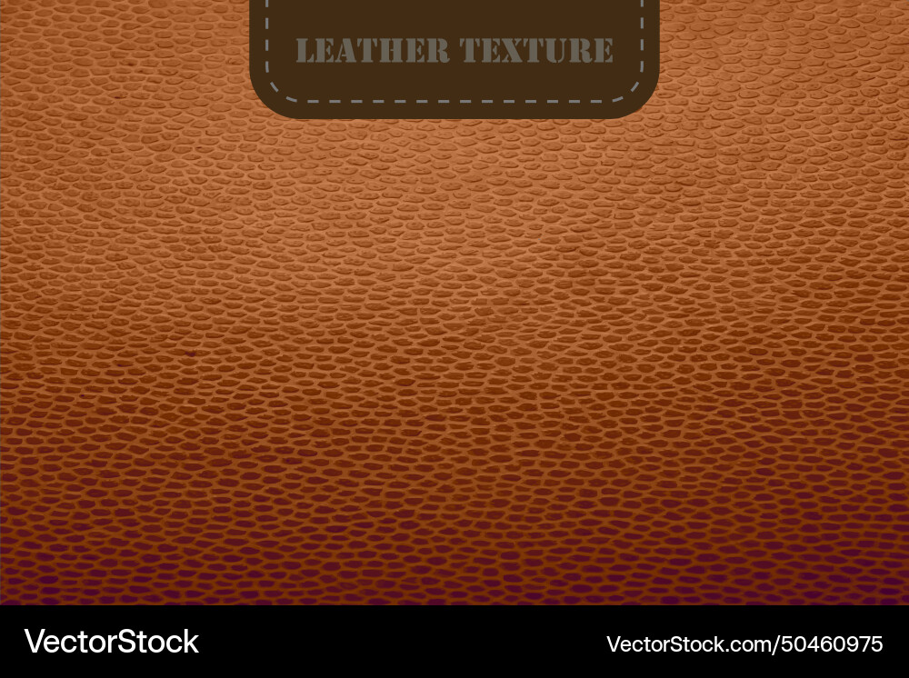Brown leather texture realistic animal skin Vector Image