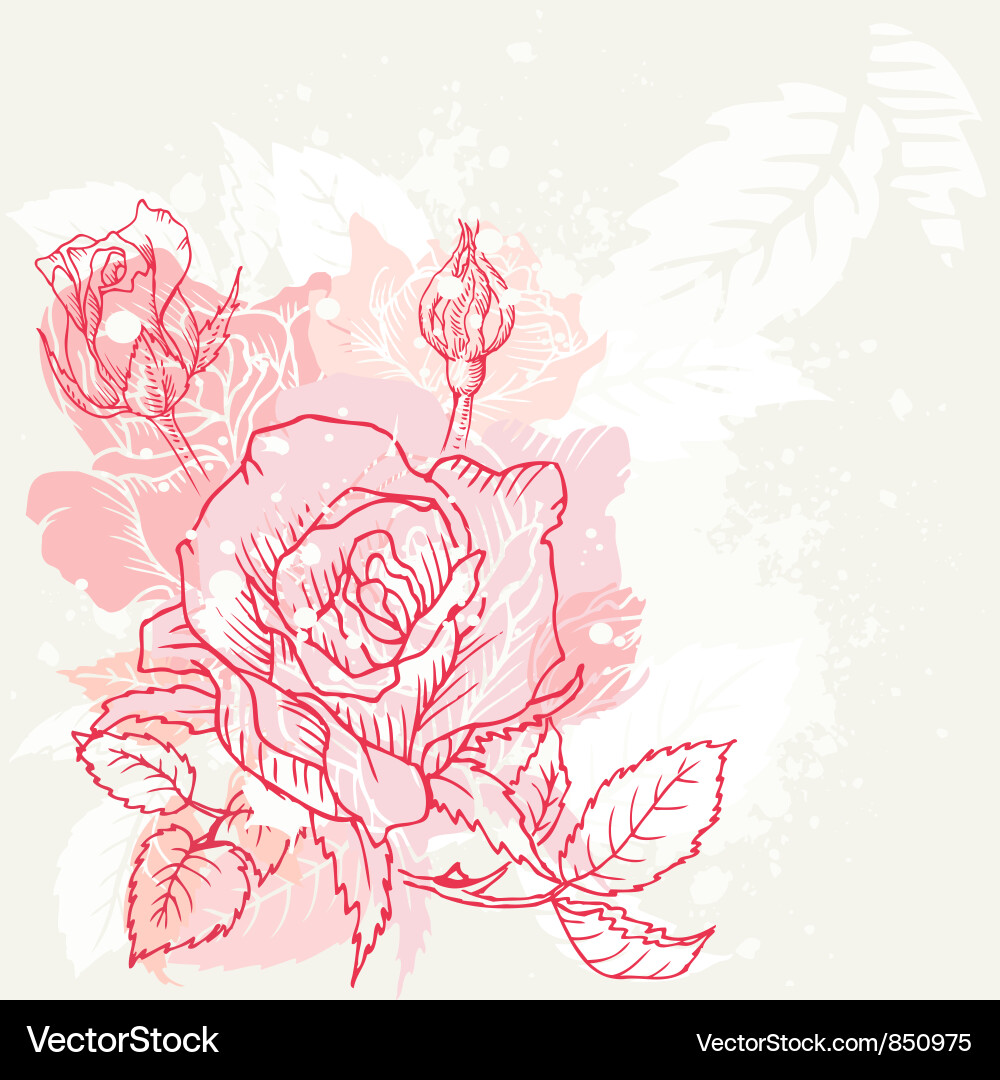 Floral roses background Royalty Free Vector Image