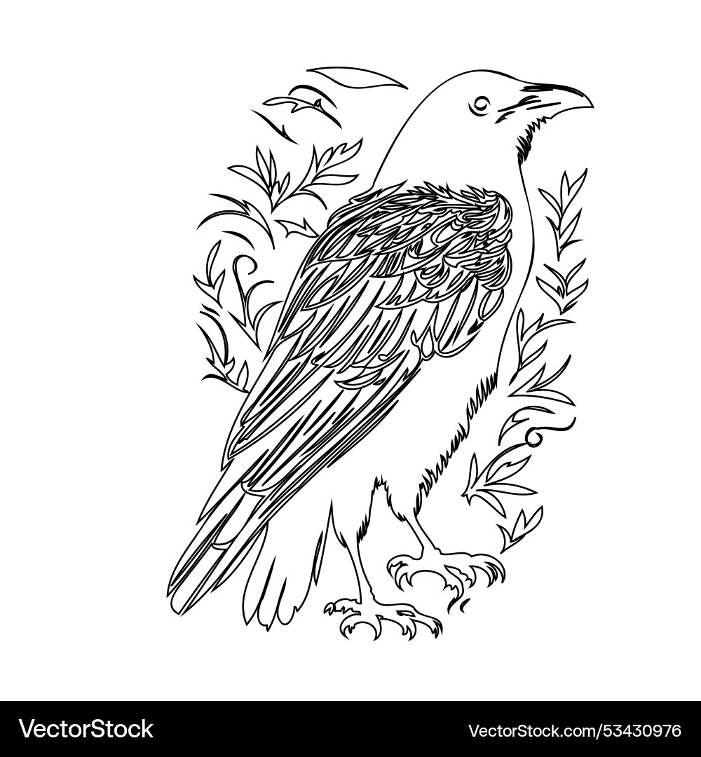 Raven or crow outline sketch Royalty Free Vector Image