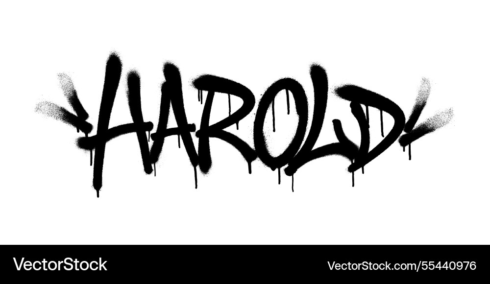 Sprayed harold name with overspray in black over Vector Image