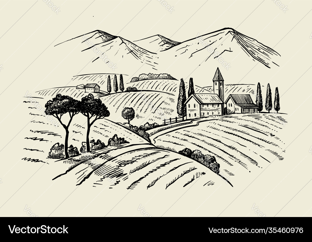 Vintage hand drawn wineyard Royalty Free Vector Image
