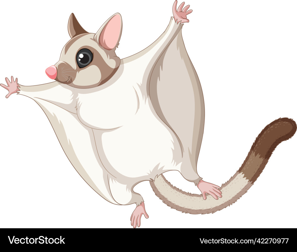 A cute sugar glider cartoon character Royalty Free Vector