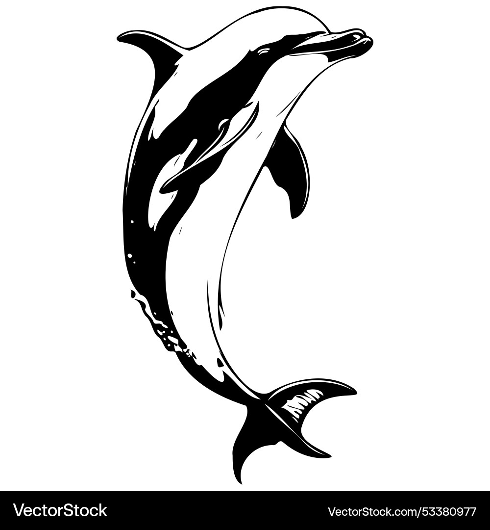 Bottlenose dolphin portrait ink hand drawn animal Vector Image