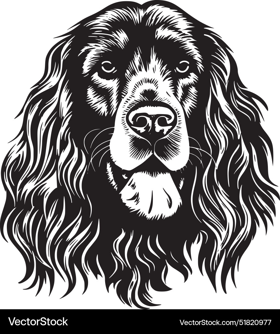 Cocker spaniel - minimalist and flat logo Vector Image