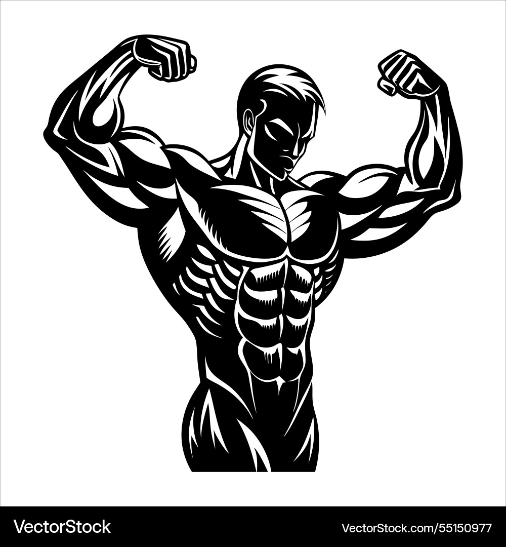 Muscles of the body Royalty Free Vector Image - VectorStock
