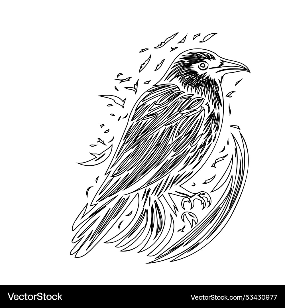 Raven or crow outline sketch Royalty Free Vector Image