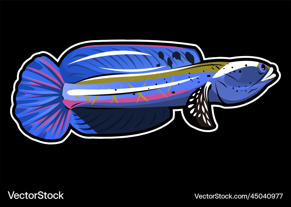 Snakehead fish Royalty Free Vector Image - VectorStock