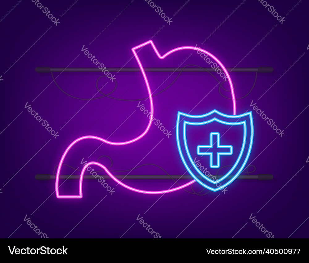 Stomach protection healthy protected intestine Vector Image