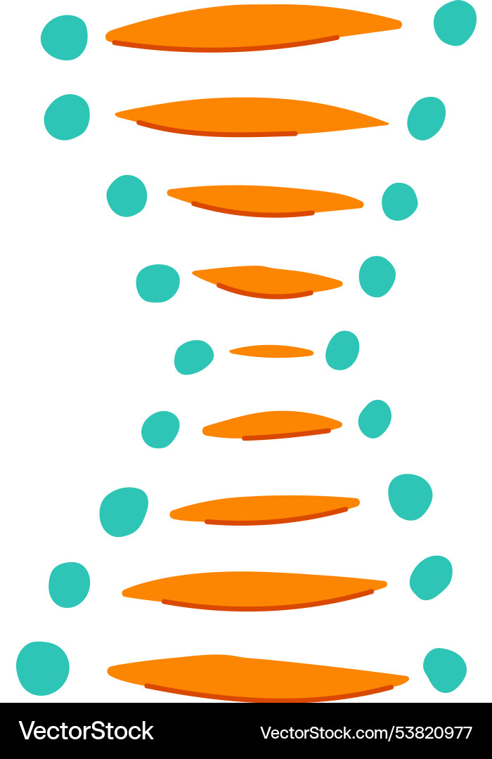 Transcription dna spiral cartoon Royalty Free Vector Image