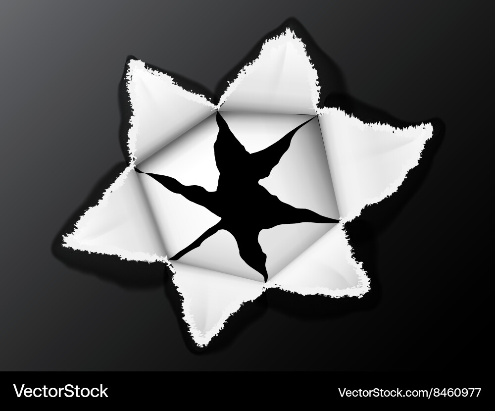 Two layers of punched paper Royalty Free Vector Image