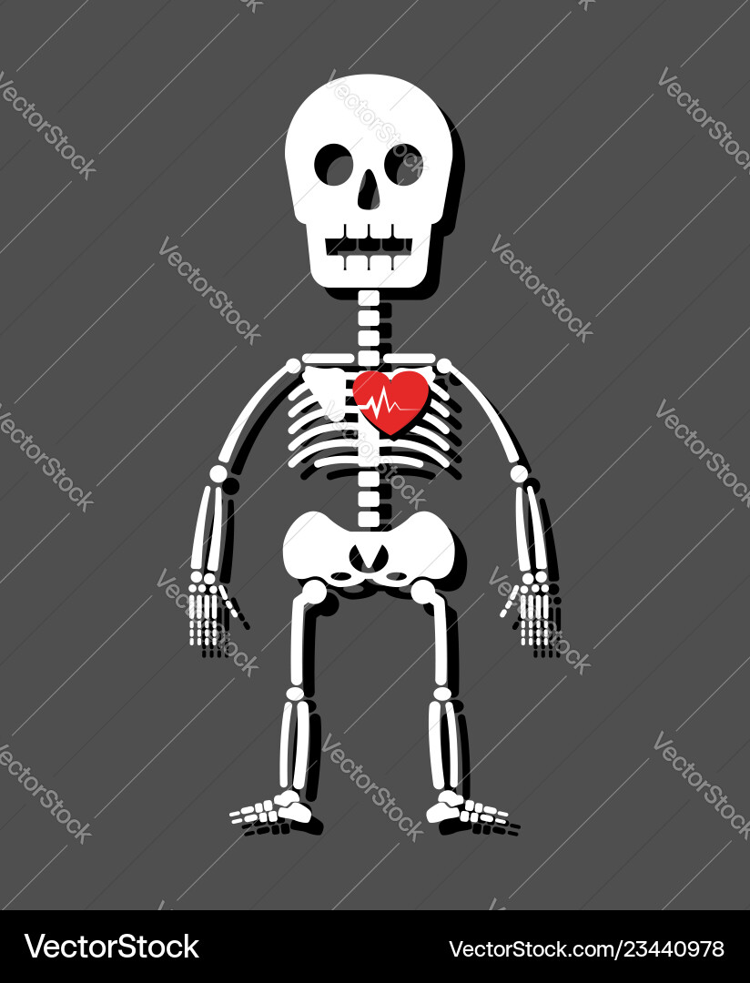 Human Skeleton Cartoon Isolated Happy Human Skeleton Cartoon Image