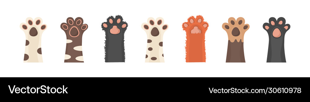 Paws up animals Royalty Free Vector Image - VectorStock
