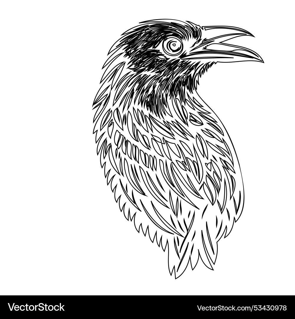 Raven or crow outline sketch Royalty Free Vector Image