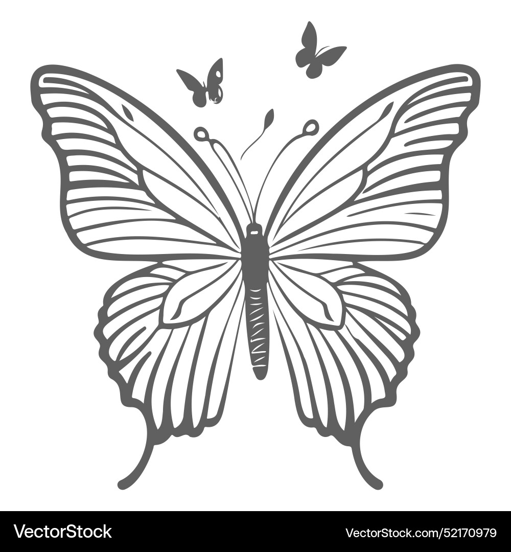 Animal butterfly sketch grey Royalty Free Vector Image