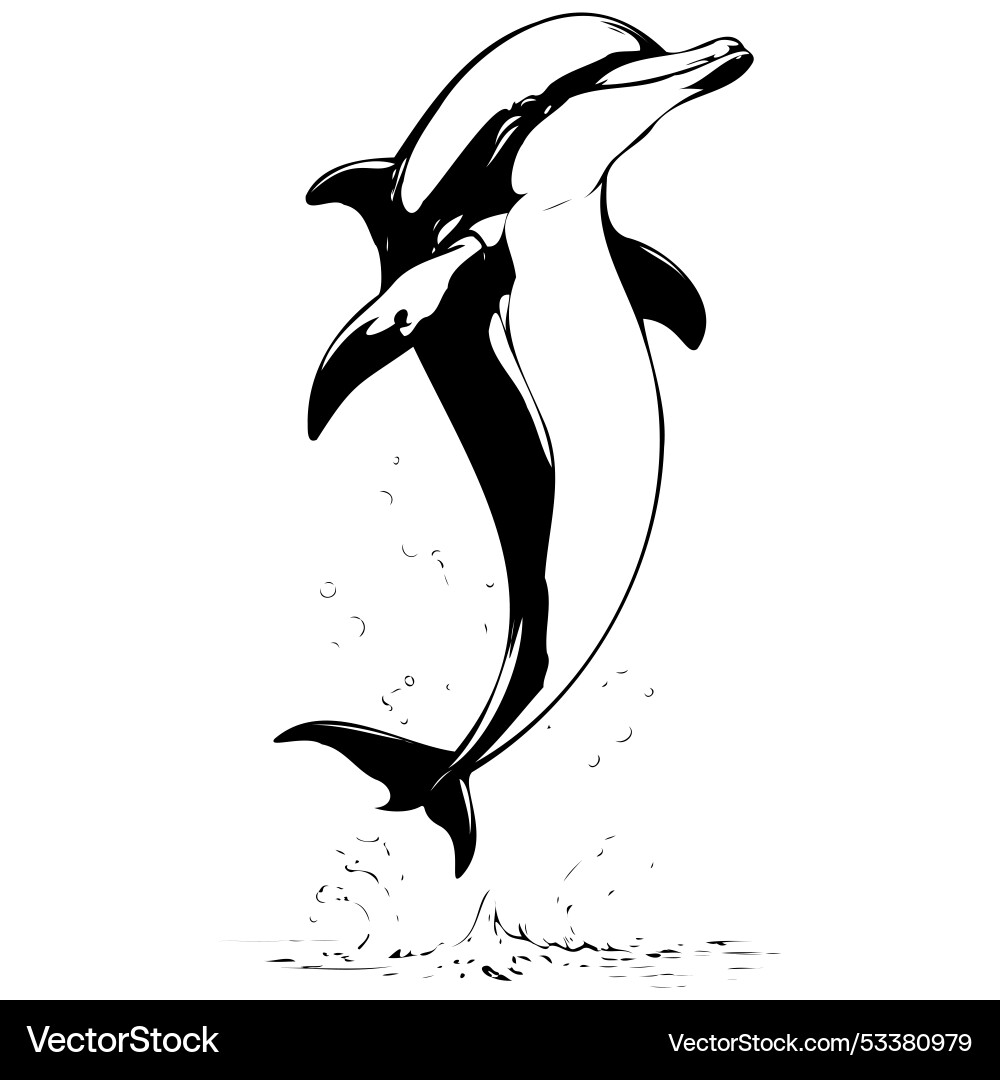 Bottlenose dolphin sitting hand drawn animal Vector Image