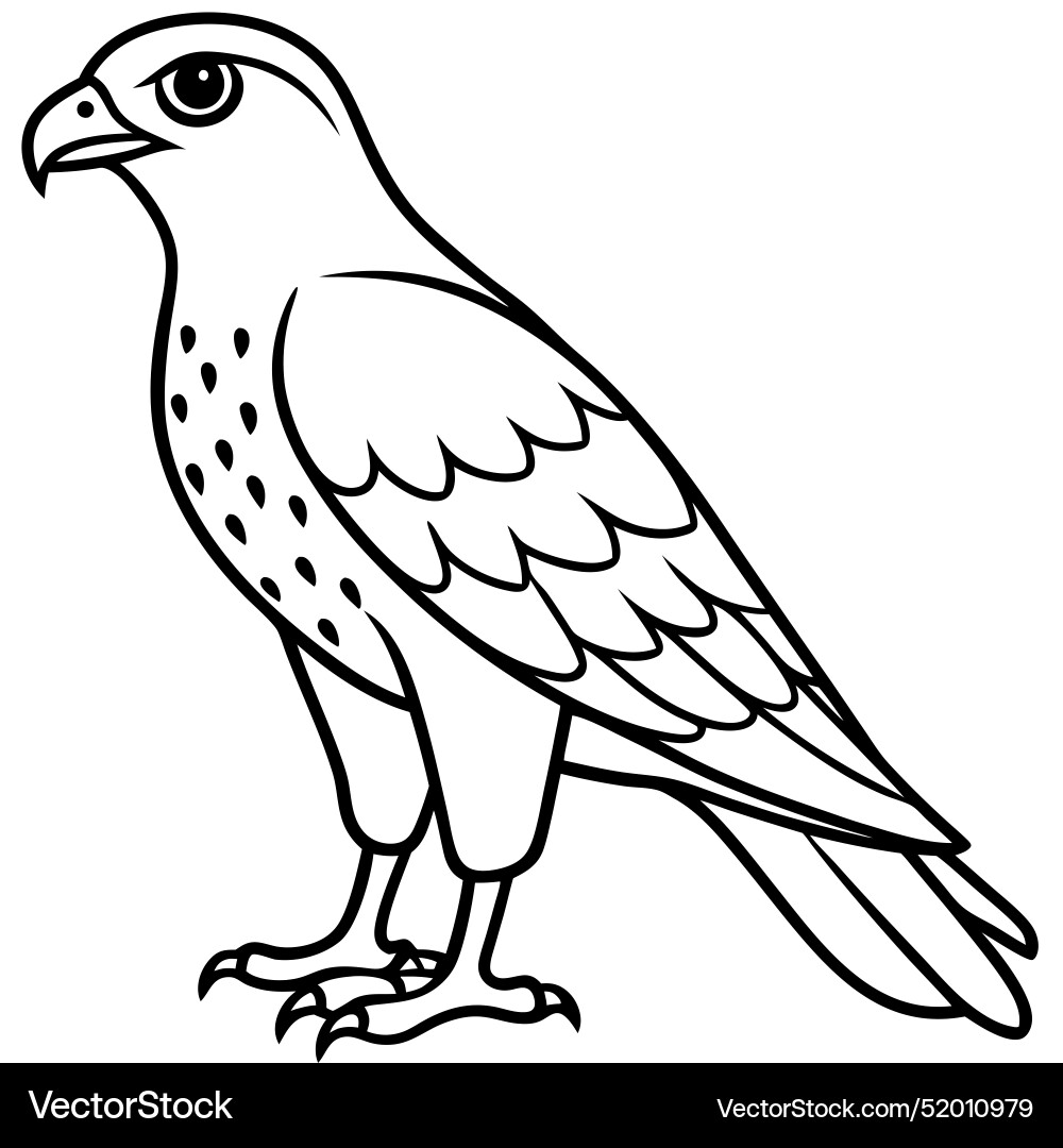 Ferruginous hawk bird stands icon Royalty Free Vector Image