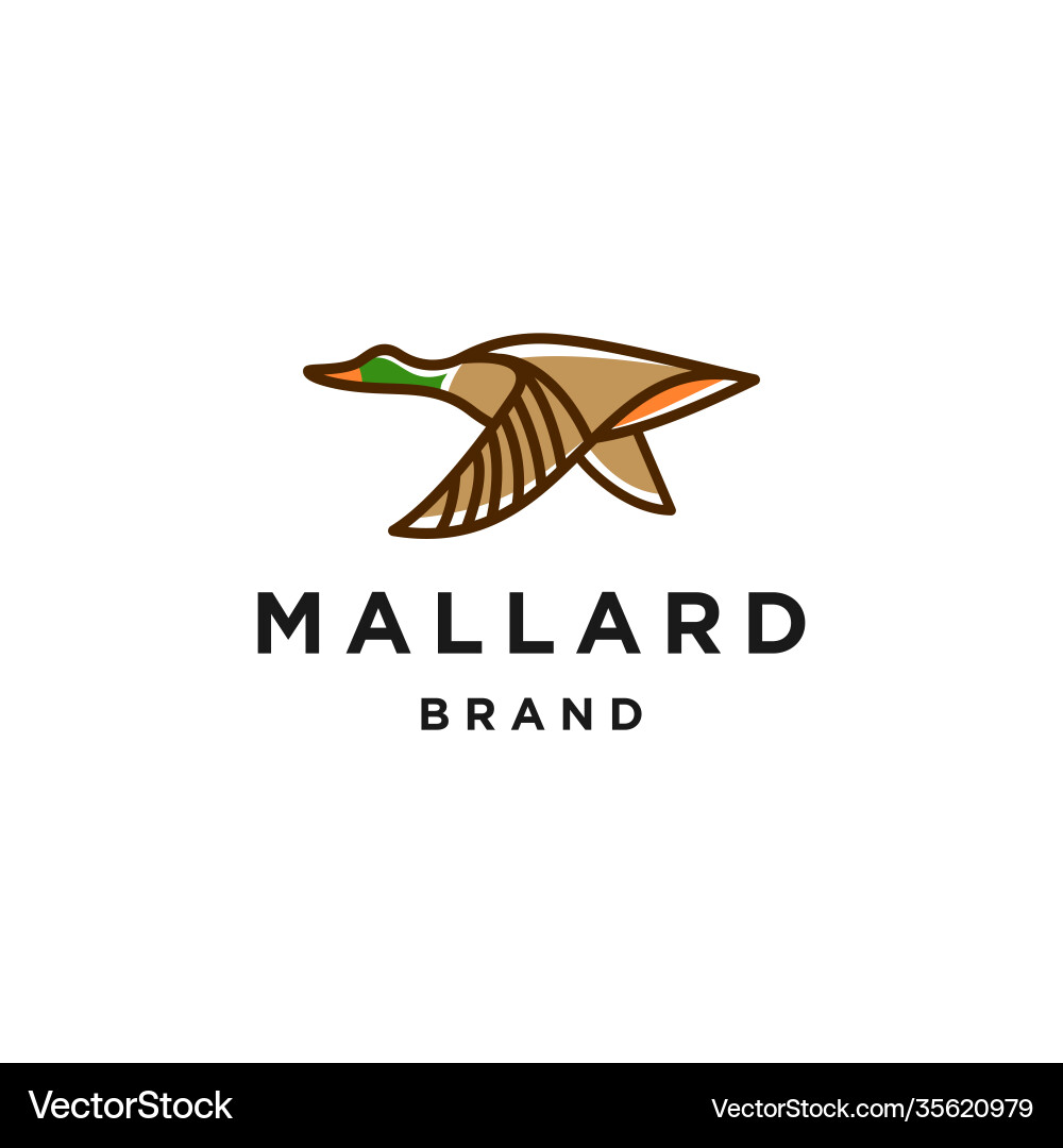 Flying Mallard Duck Logo Royalty Free Vector Image