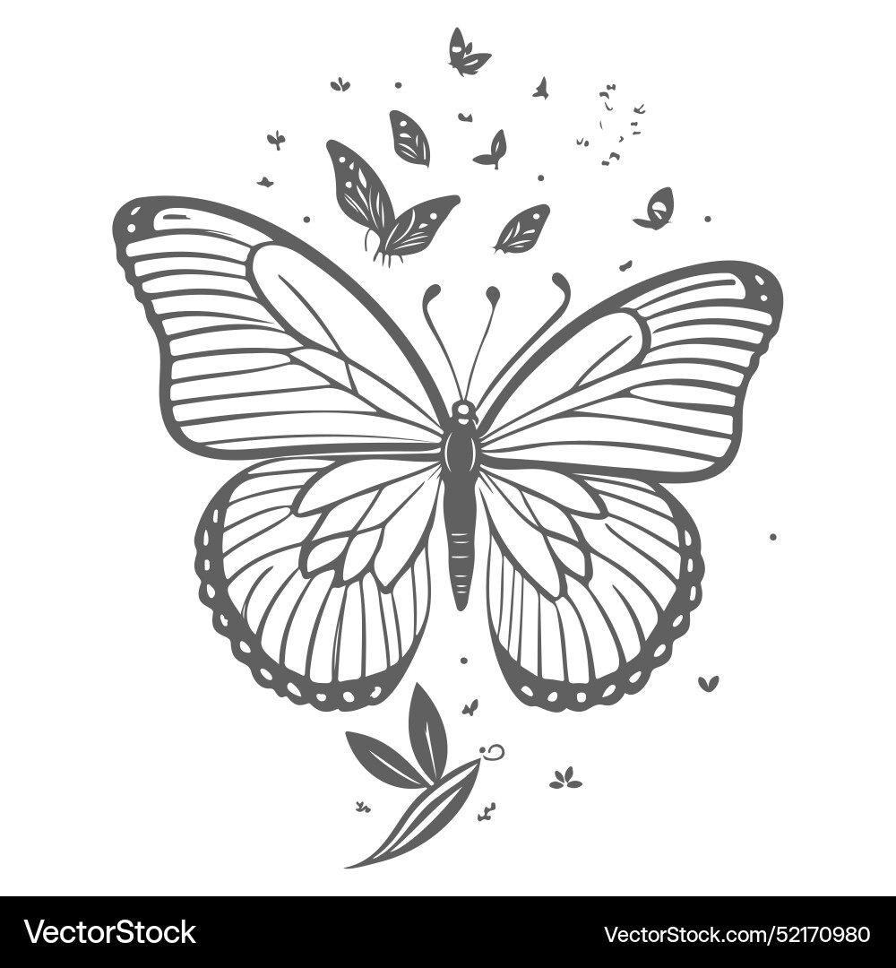 Animal butterfly sketch grey Royalty Free Vector Image