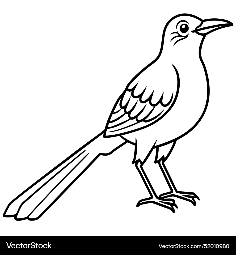 Ferruginous hawk bird swims icon Royalty Free Vector Image