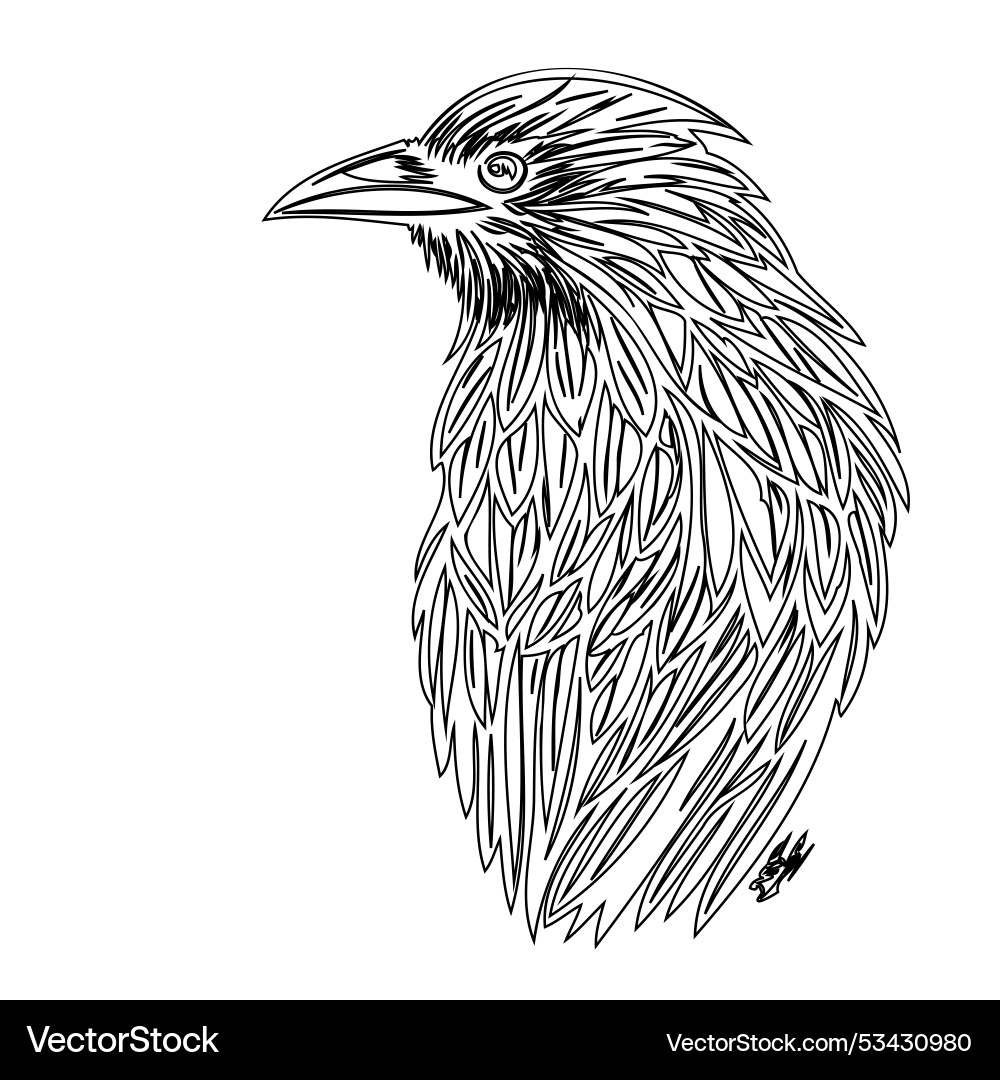 Raven or crow outline sketch Royalty Free Vector Image