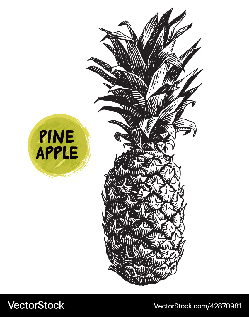 Hand-drawn pineapple Royalty Free Vector Image