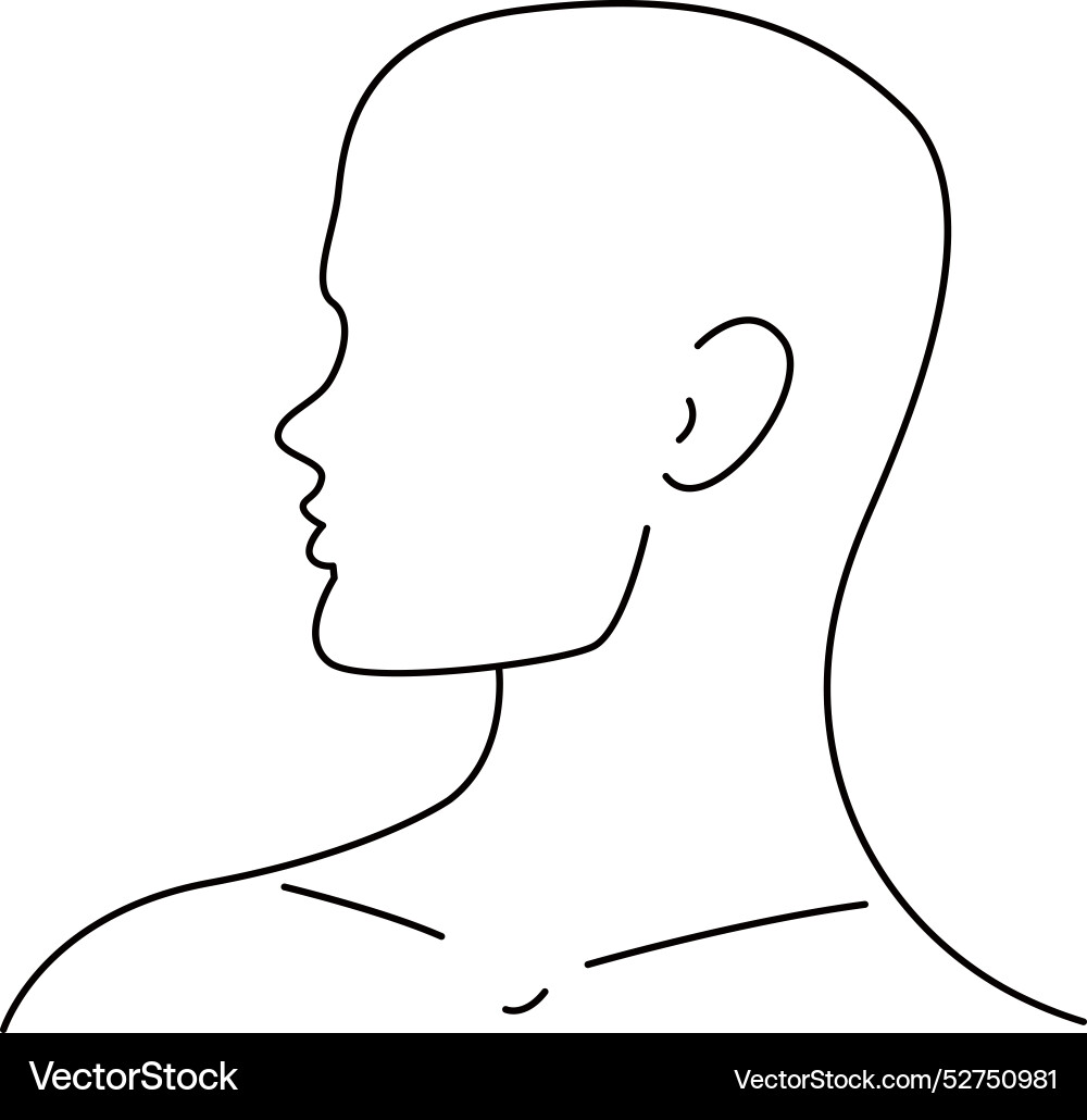 Human head and chest line Royalty Free Vector Image
