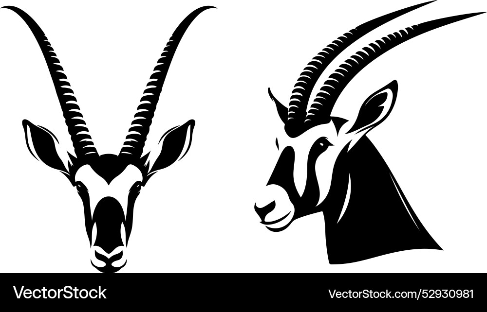 Oryx head logo design on white background 1 Vector Image