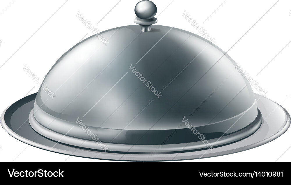 Silver platter Royalty Free Vector Image - VectorStock