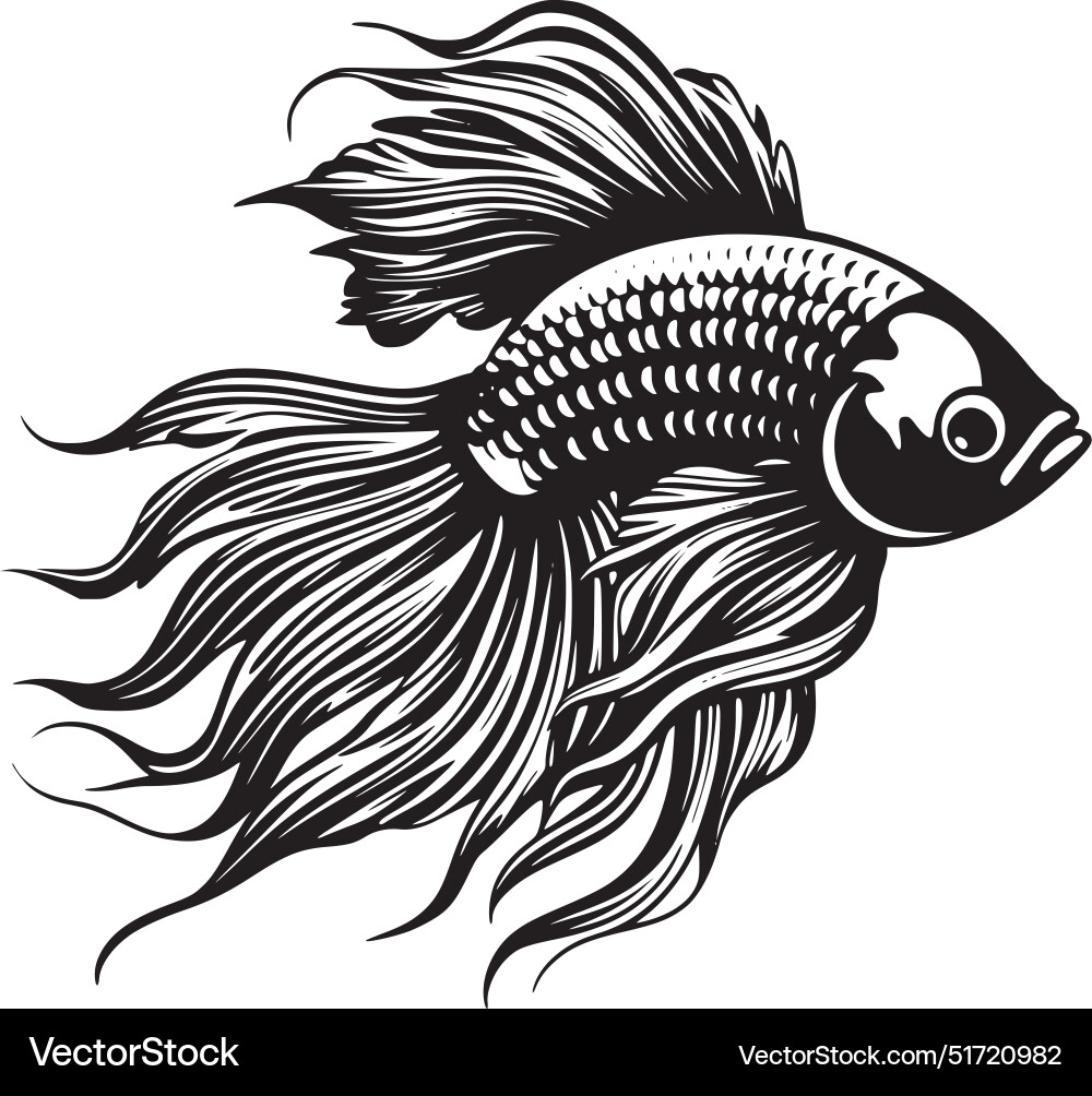 Betta fish - minimalist and flat logo Royalty Free Vector