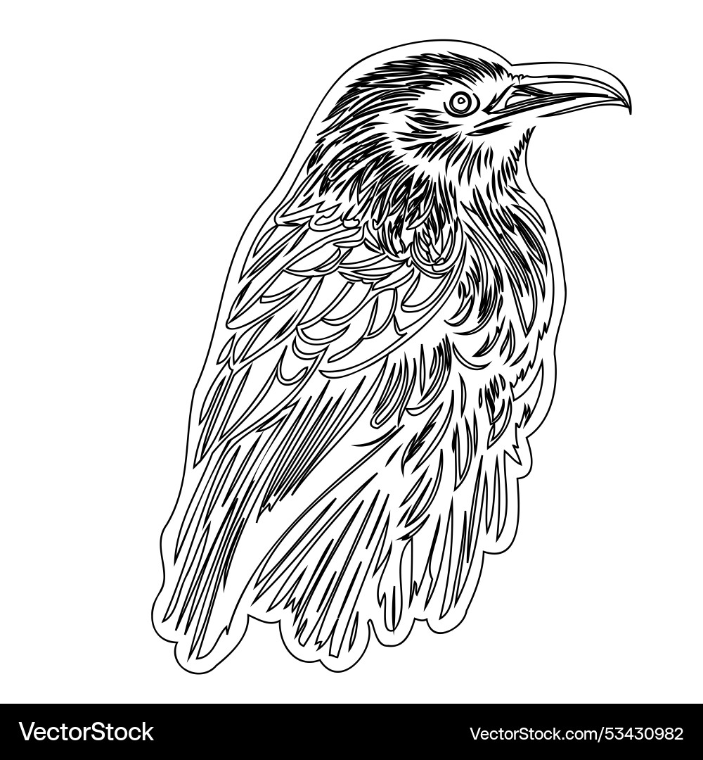 Raven or crow outline sketch Royalty Free Vector Image