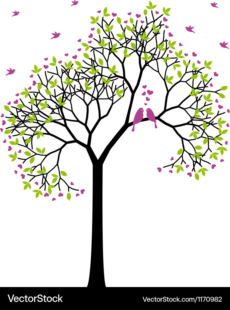 Spring tree with love birds Royalty Free Vector Image