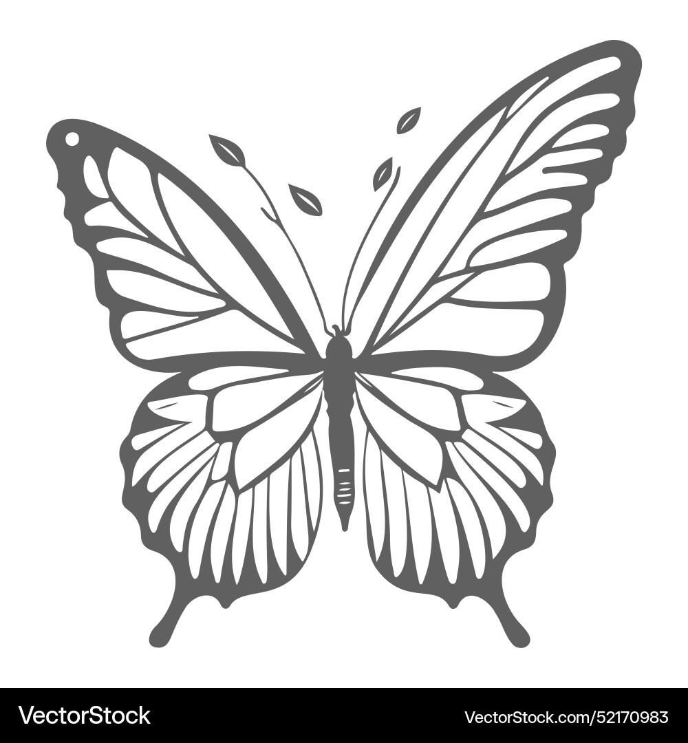 Animal butterfly sketch grey Royalty Free Vector Image