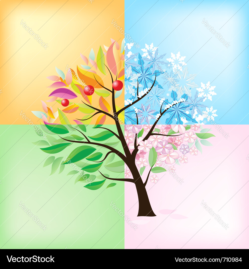 Four seasons tree Royalty Free Vector Image - VectorStock
