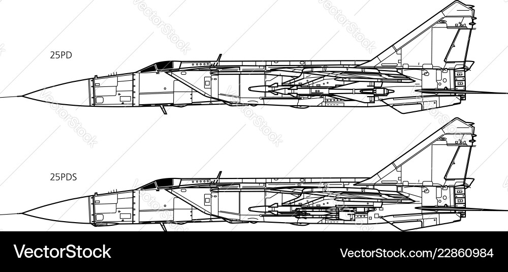 Mikoyan MiG-25 Foxbat Aircraft Profile Royalty Free Vector
