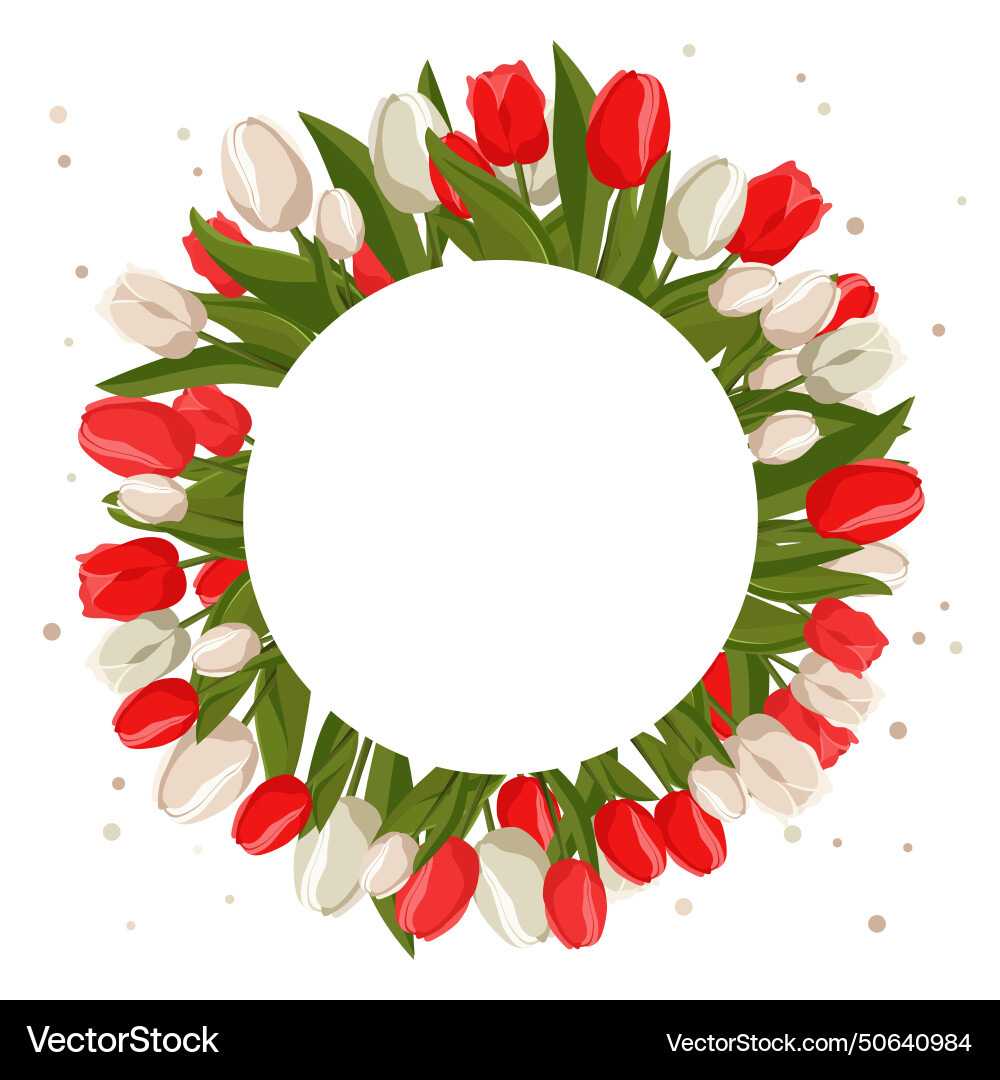 Spring round frame with white red tulips for text Vector Image