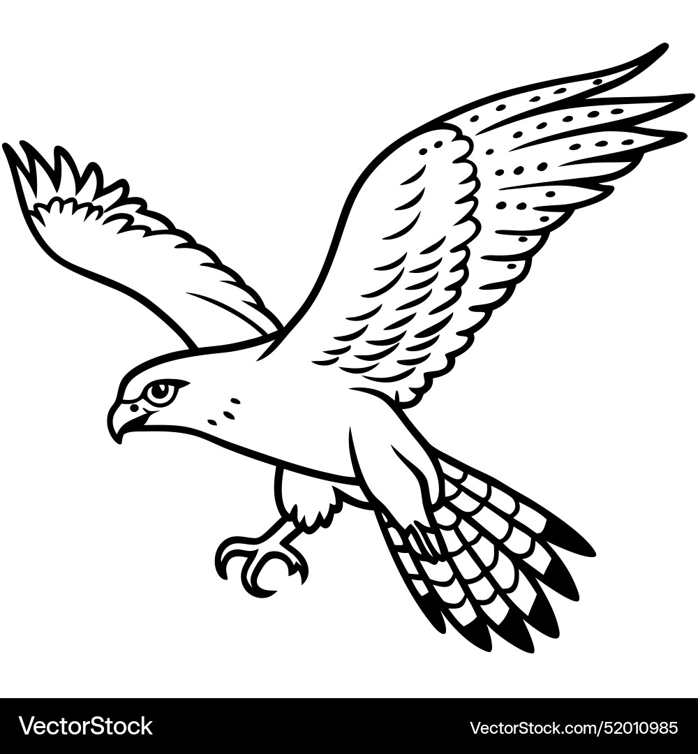 Ferruginous hawk bird flies icon Royalty Free Vector Image
