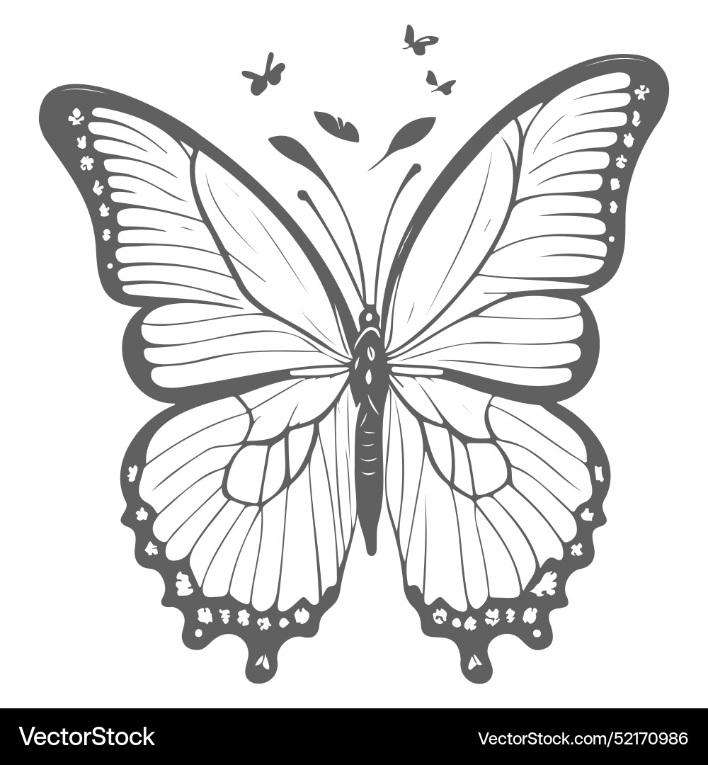 Animal butterfly sketch grey Royalty Free Vector Image
