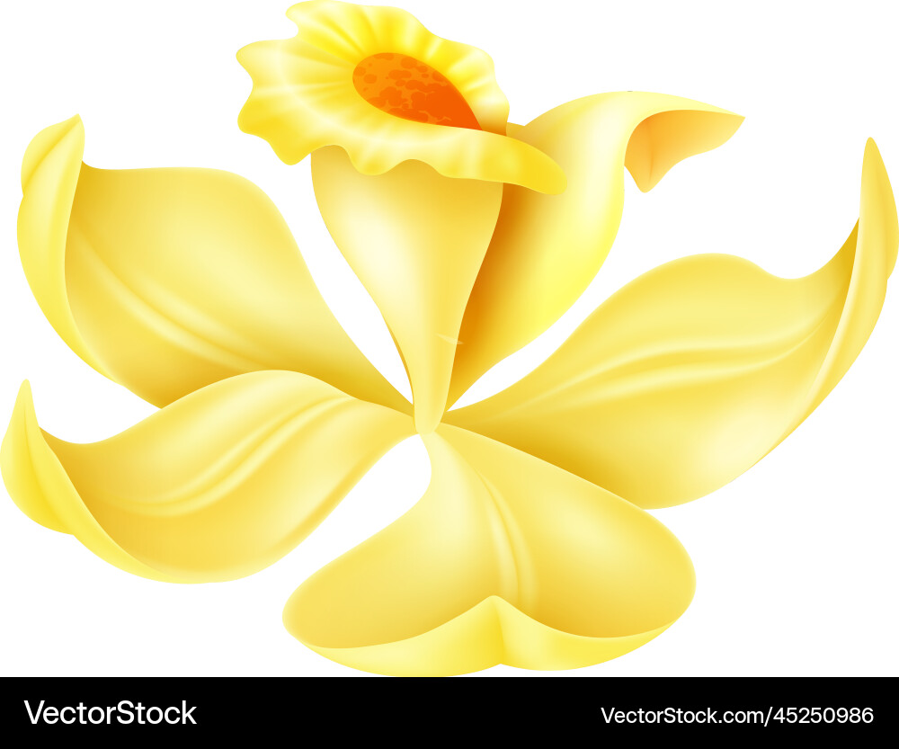 Realistic vanilla flower Royalty Free Vector Image