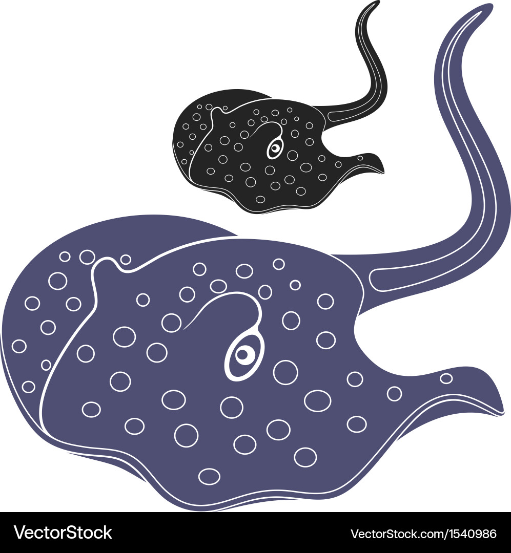 Stingray Royalty Free Vector Image - VectorStock