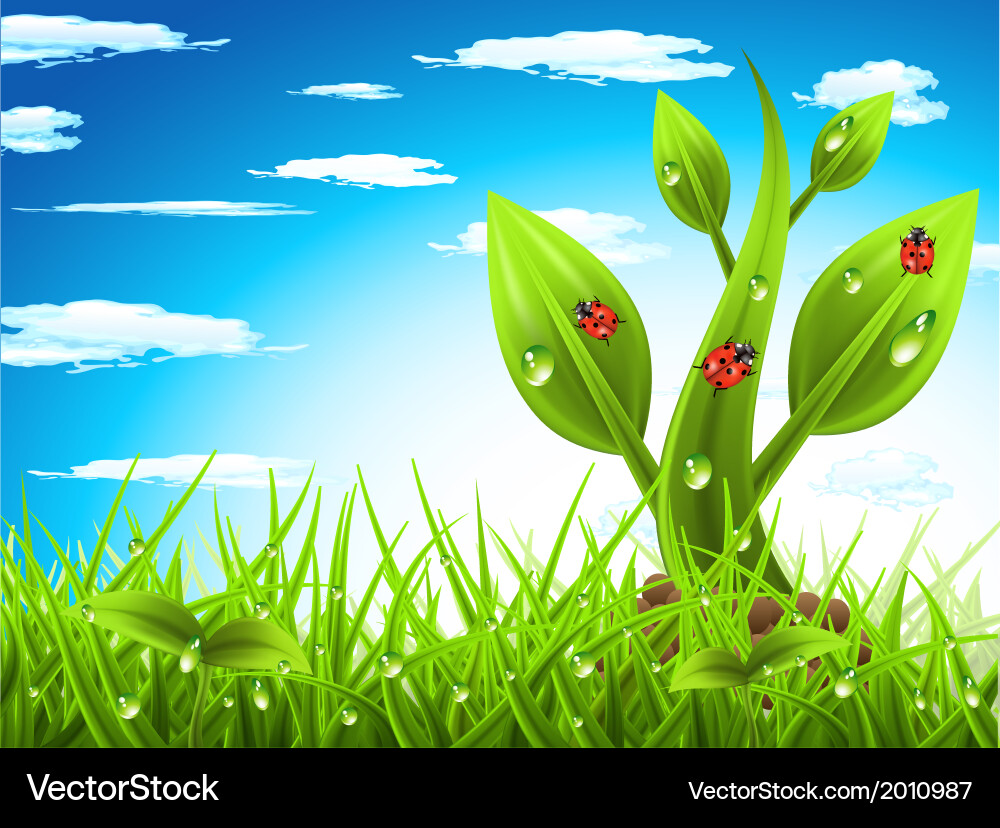 Landscape Royalty Free Vector Image - VectorStock