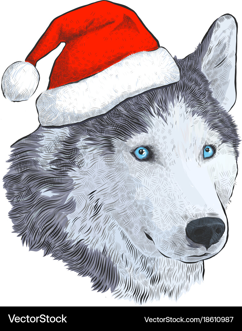 Santa Husky Portrait Royalty Free Vector Image