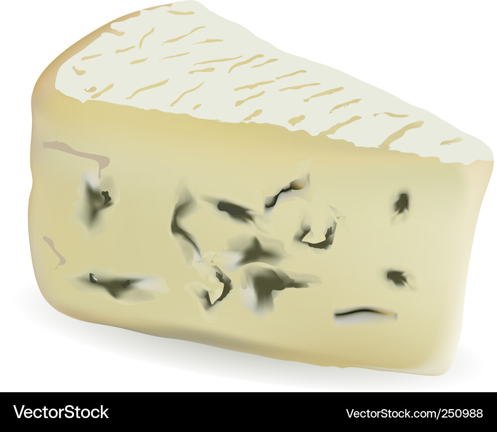 Cheese with mould Royalty Free Vector Image - VectorStock